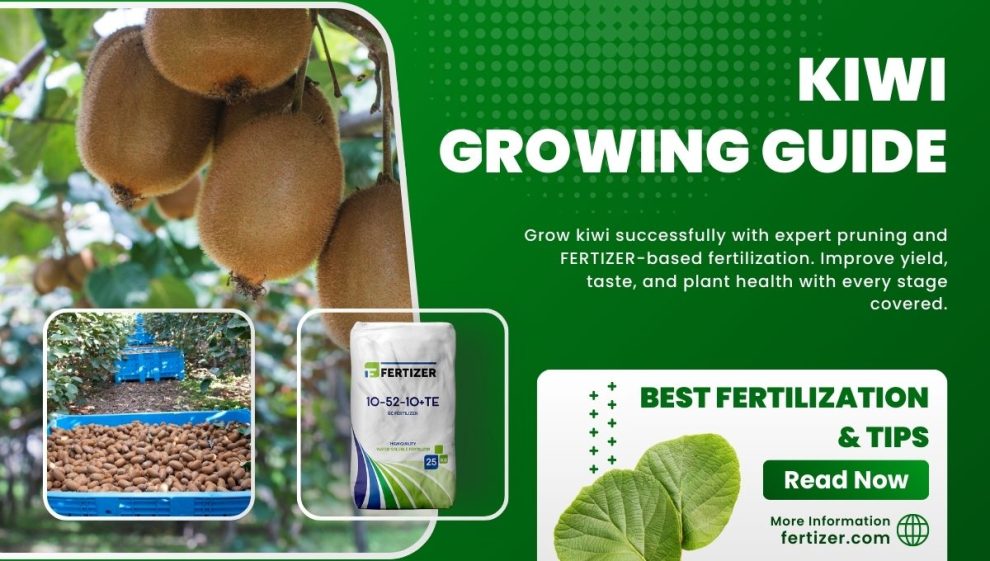 Kiwi Fertilization and Cultivation Guide with FERTIZER